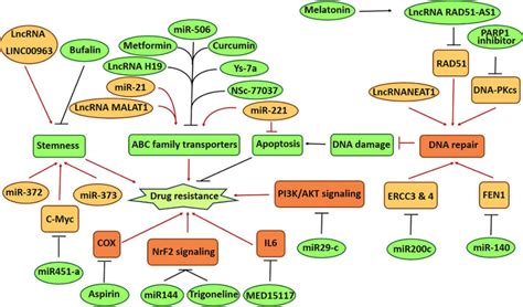 Sgrna文库想做个自我介绍 知乎