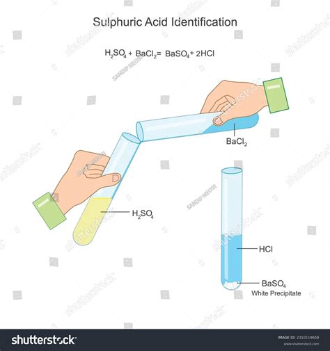 Sulphuric Acid Identification Test Chemistry Illustration Stock Vector Royalty Free 2310119659