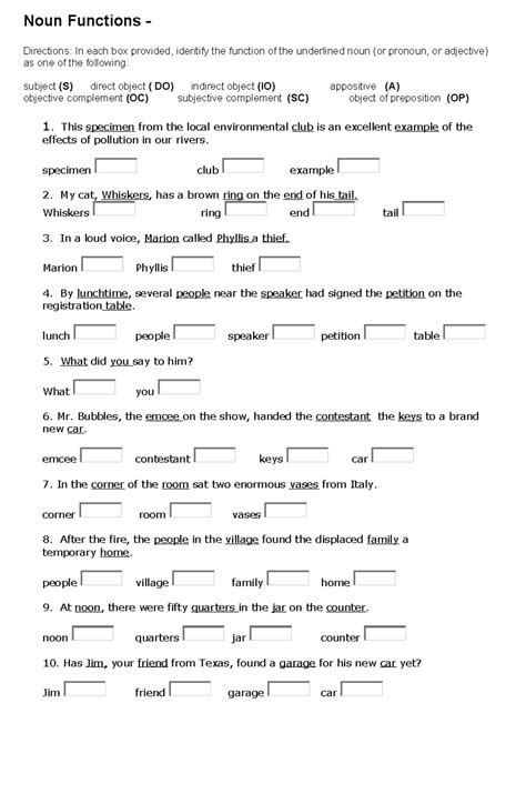 427206545 Functions Of Nouns Worksheet Noun Functions Directions In Each Box Provided