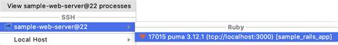 Tutorial Attach To A Remote Process Rubymine Documentation