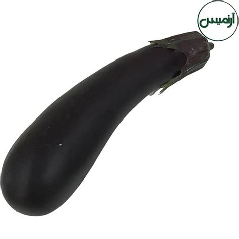 خرید و قیمت بادمجان مصنوعی ترب