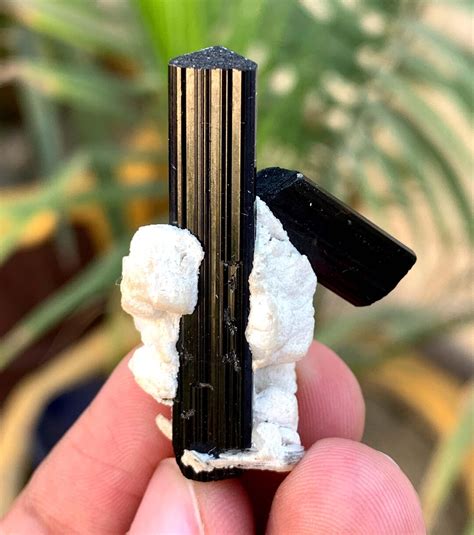Schorl Black Tourmaline Crystal With Albite From Pakistan 11 Gram Etsy