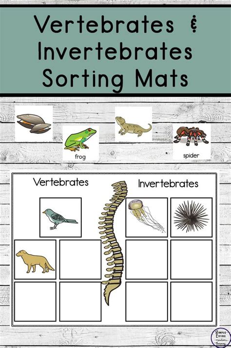Vertebrates And Invertebrates Sorting Mats Vertebrates And
