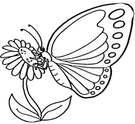 Little Butterfly Coloring Play Online On Flash Museum 🕹️