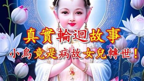 一個真實輪回故事 小鳥竟是病故女兒轉世禪心 YouTube