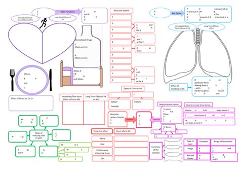 Gcse Pe Full Course Edexcel Revision Whole Specification Covered Teaching Resources