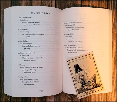 Poem The Hermit Crab By Mary Oliver 1990 Rpoetry