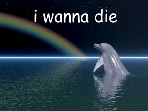 Meme Reaction Meme Meme Reaction Dolphin Discover And Share S