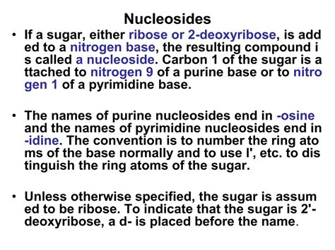 Nucleotides 1 Pptx Presentation On Nucleotides Structure Ppt