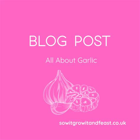 How To Grow Garlic In The Uk Complete Guide And Best Varieties