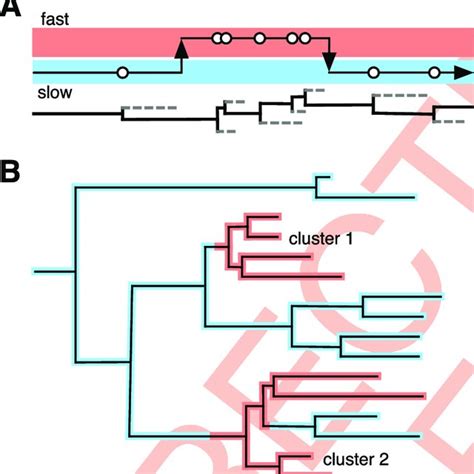 Schematic Diagram Of A Model Based Genetic Clustering Method The Rate Download Scientific