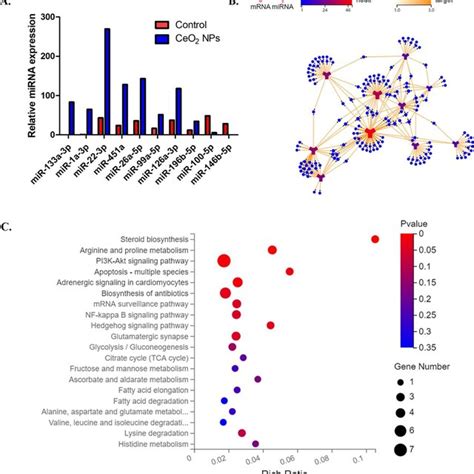 Functional Clustering And Signalling Pathway Analysis Of Differentially Download Scientific