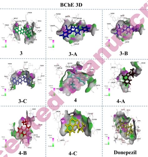 3d Binding Interactions Of Selected Compounds Within The Active Pocket Download Scientific
