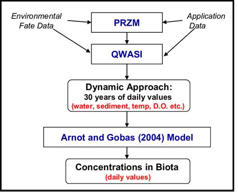 4 Schematic Of Agro Aquatic Bioaccumulation Modeling System Download Scientific Diagram