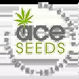 Ace Seeds Breeder Seed Bank Info Growdiaries
