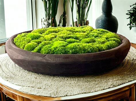 Large Preserved Moss Bowl Table Centerpiece Modern Home Decor Wooden