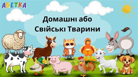 Домашні або Свійські Тварини Розвиваючі відео для дітей Навчальні Флеш Картки Youtube