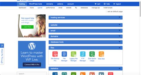 How To Fix Bluehosts CPanel File Manager Not Showing Hidden Files