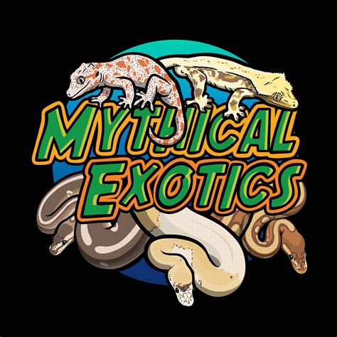 Ball Python Clutch 7 1 By Mythical Exotics Morphmarket