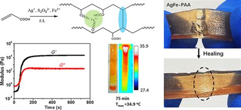 Fast Healing Of Covalently Cross Linked Polymeric Hydrogels By