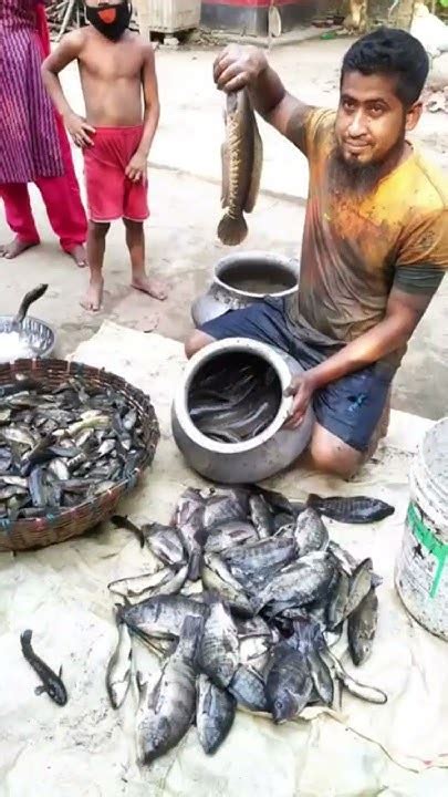 আলহামদুলিল্লাহ অনেক দেশি মাছ পাইছি। Youtube