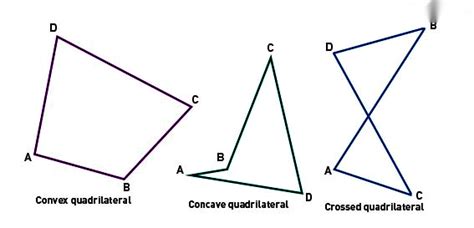 Quadrilateral Worksheet For Classes 8 And 9 Testbook