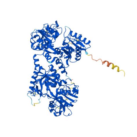 Rcsb Pdb Af Afp02788f1 Computed Structure Model Of Lactotransferrin