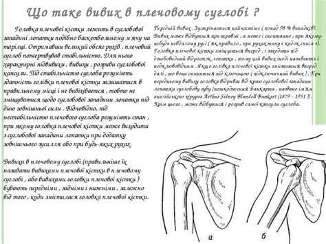 Плечовий суглоб презентація з біології