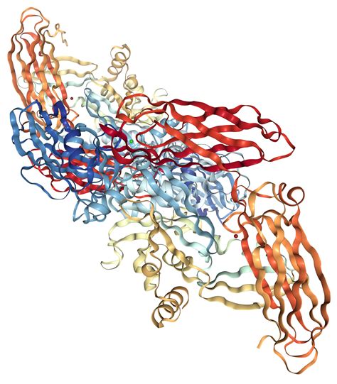 Transglutaminase 3 General Information Sino Biological