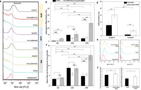 Adipogenic Differentiation Of Wj Mscs Cultured On Tcps Collagen Film