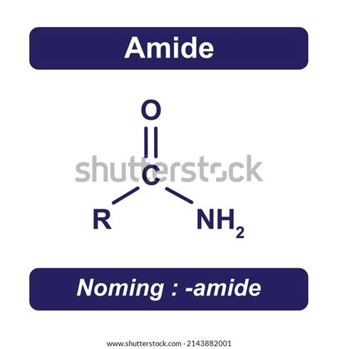 Amide Group Chemical Structure Vector Illustration Stock Vector Royalty Free