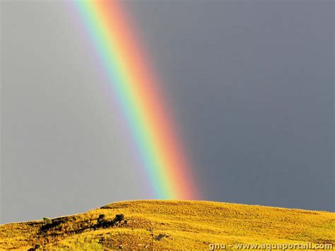 Les Couleurs De L Arc En Ciel Juicetiklo