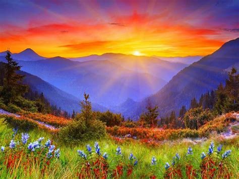 Sunset Over Mountains With Wildflowers Musica Para Meditar Musica De