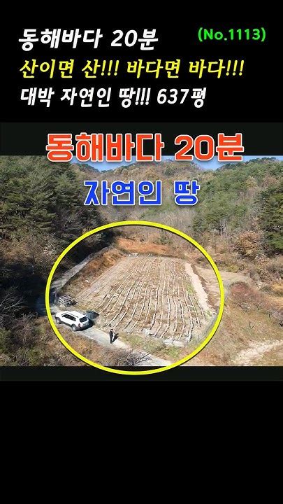 대박 가격도 엄청싸요~ Youtube