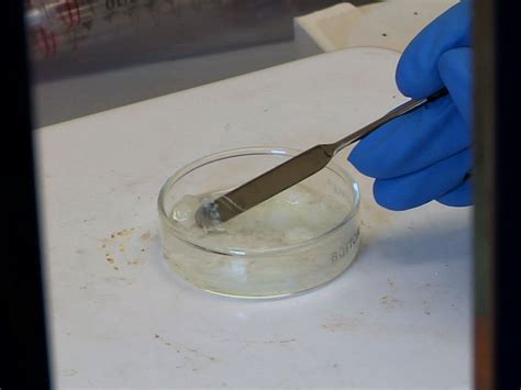 tissue engineering construction of a multicellular 3d scaffold for the delivery of layered cell