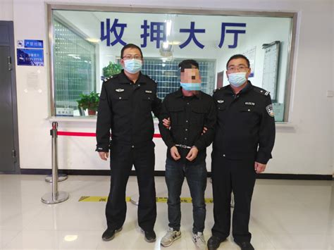 强光手电、猎犬、渔网兜全用上，榆林佳县男子狩猎野兔被逮捕 知乎