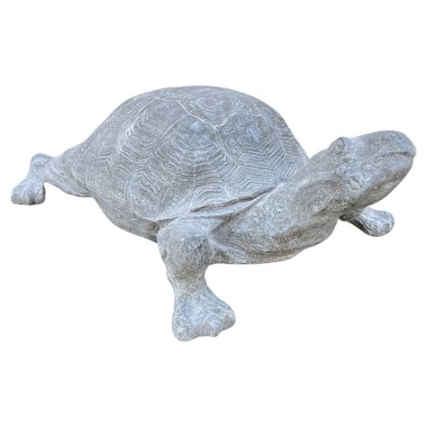 Large Single Genuine American Fresh Water Turtle Shell For Sale At