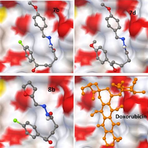 2d Diagram Of Interactions Involved Between 1x7b And 7d Download Scientific Diagram