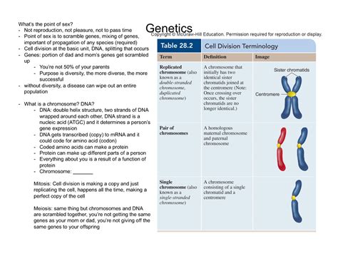 Lecture Reproduction Genetics Whats The Point Of Sex Not Reproduction Not Pleasure Not
