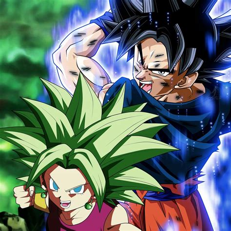 Kefla Y Goku Personajes De Dragon Ball Personajes De Goku Dragones