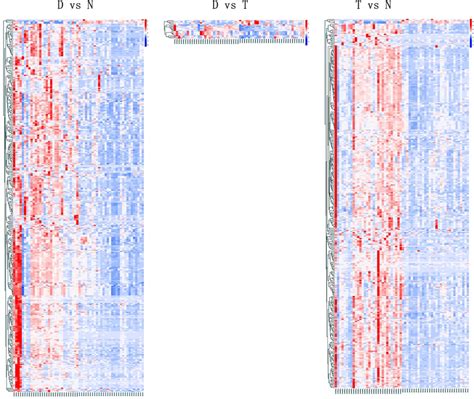 Heat Map Of Hierarchical Clustering Analysis The Abscissa Represents Download Scientific