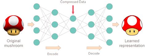 Empowering Intrusion Detection Systems With Machine Learning Part 4