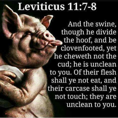 You Scream That You Re An Infidel And Proud By Shoving Pork In The Faces Of Muslims Yet You Don