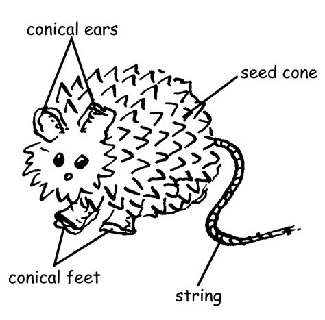 Assessment Plant Habitats By Openstax Jobilize
