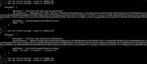 How To Use The Aws Sqs Cli To Receive Messages Advanced Web Machinery