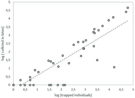 Correlation Between The Logaritmic Values Of The Number Of Bites And