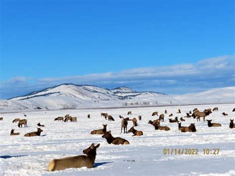 Loop Recorder For Monitoring AFib Update Patient S Lounge