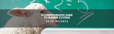 Quantization And Pruning Part 1 Enhancing Model Efficiency With By