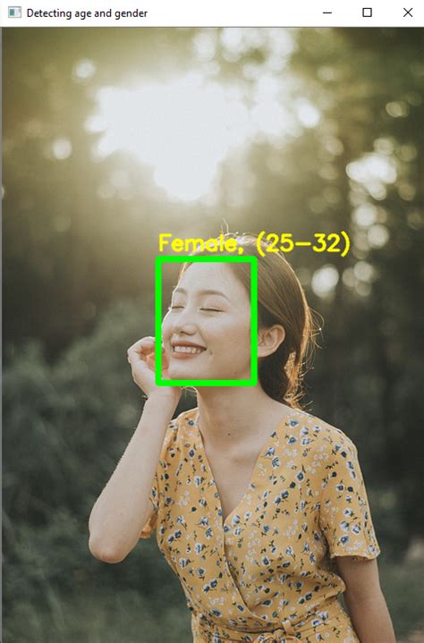 Using Image Data Predict The Gender And Age Range Of An Individual In Python By 18it011