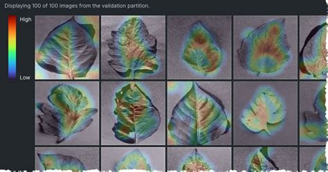 Attention Maps Datarobot Docs